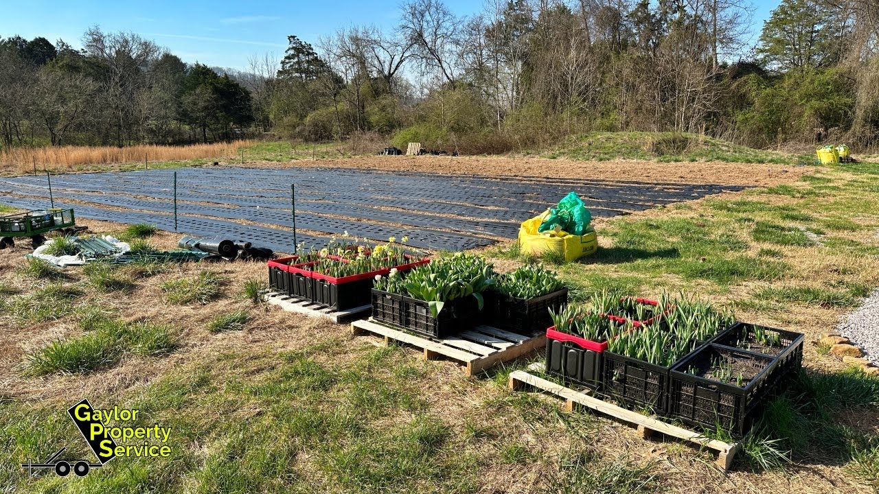 This Customer Changed Her Life by Starting a New Business | Valley ...