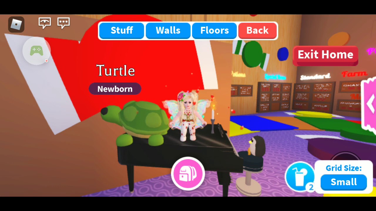 Adopt Me Giveaway - Turtle - YouTube