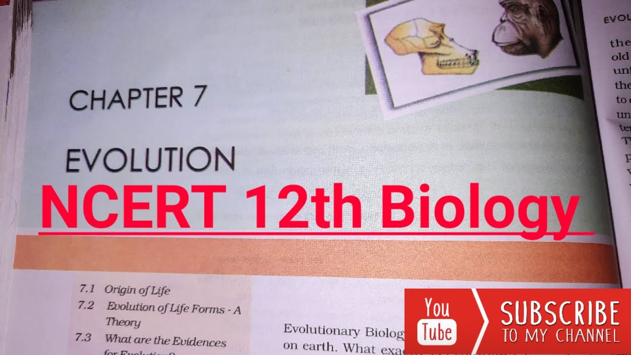 EVOLUTION (12th class NCERT biology chapter 7) - YouTube