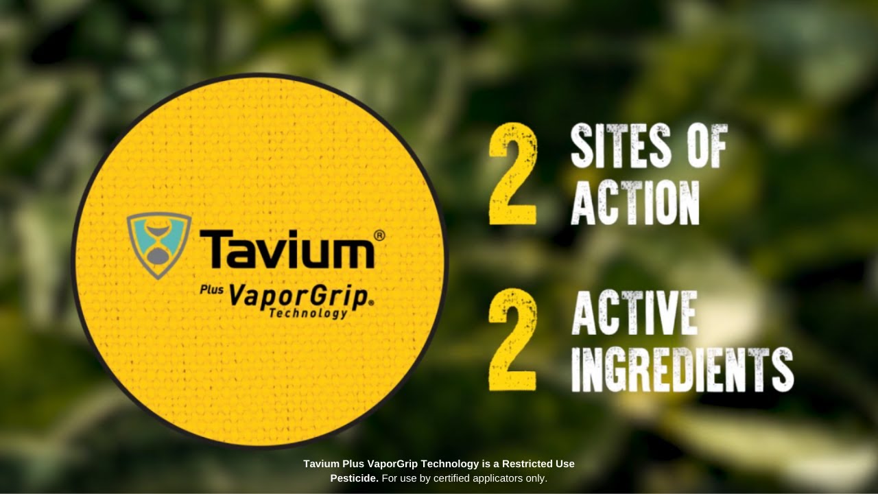 Tavium Plus VaporGrip Technology Herbicide vs. Resistant Weeds - YouTube