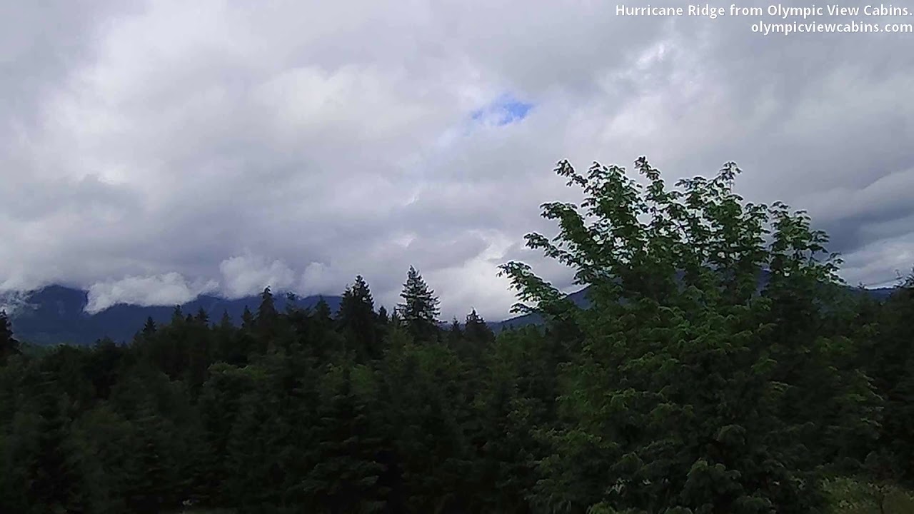 2020-06-14 Olympic View Cabins Hurricane Ridge Cam - YouTube