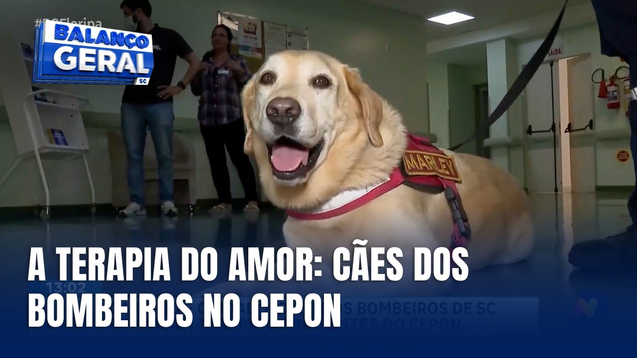 Cães terapêuticos: carinho que faz a diferença no CEPON