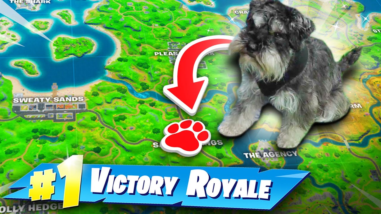 LAZARBEAM’S DOG PICKS MY DROP SPOT! - YouTube