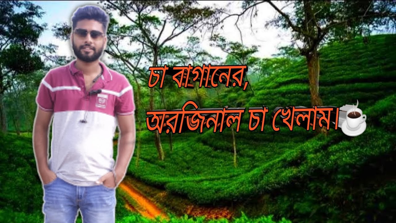 সিলেটের অরজিনাল পাতার চা | tea garden sylhet | Time pass bd | - YouTube