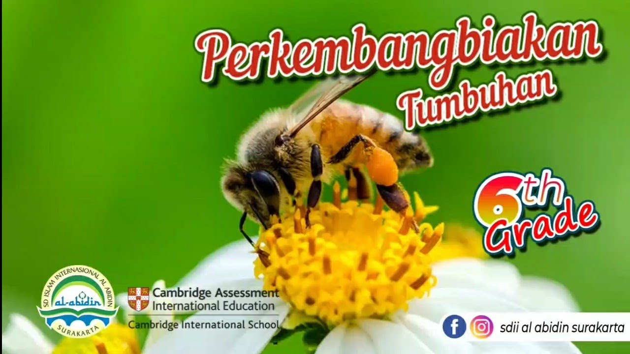 Grade 6 : IPA "Struktur Bunga" - YouTube
