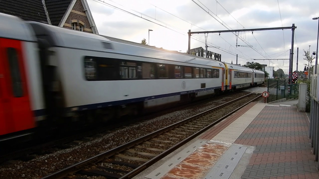 Station Nijlen-Trein Antwerpen -Mol - YouTube