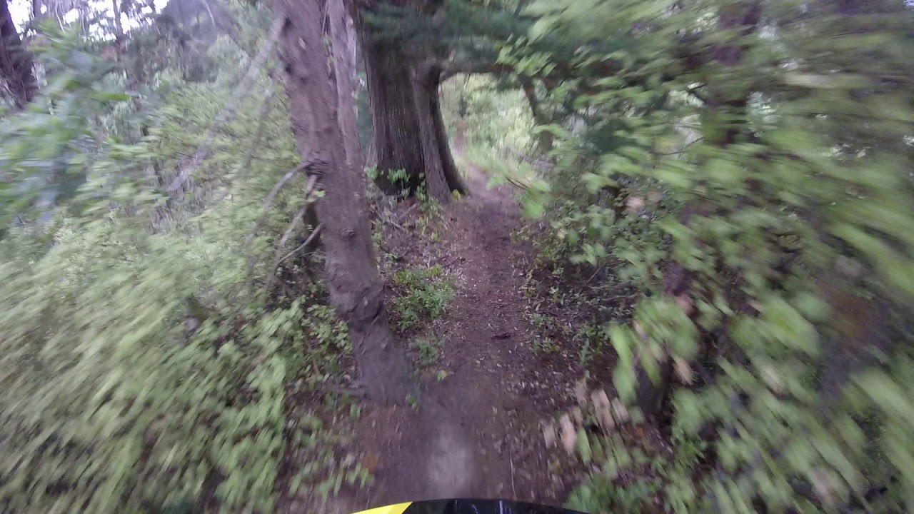 Matipo MTB Park: Skyfall - YouTube