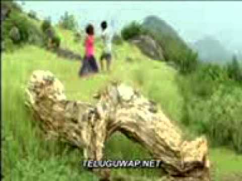 tuniga - tuniga _____ telugu movie song manasantha nuvve - YouTube