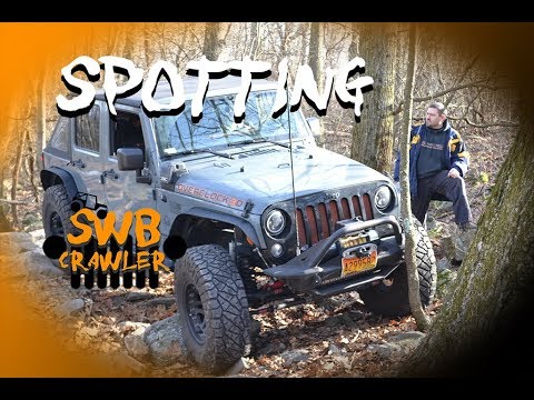 Spotting tips from an experienced trail guide - YouTube