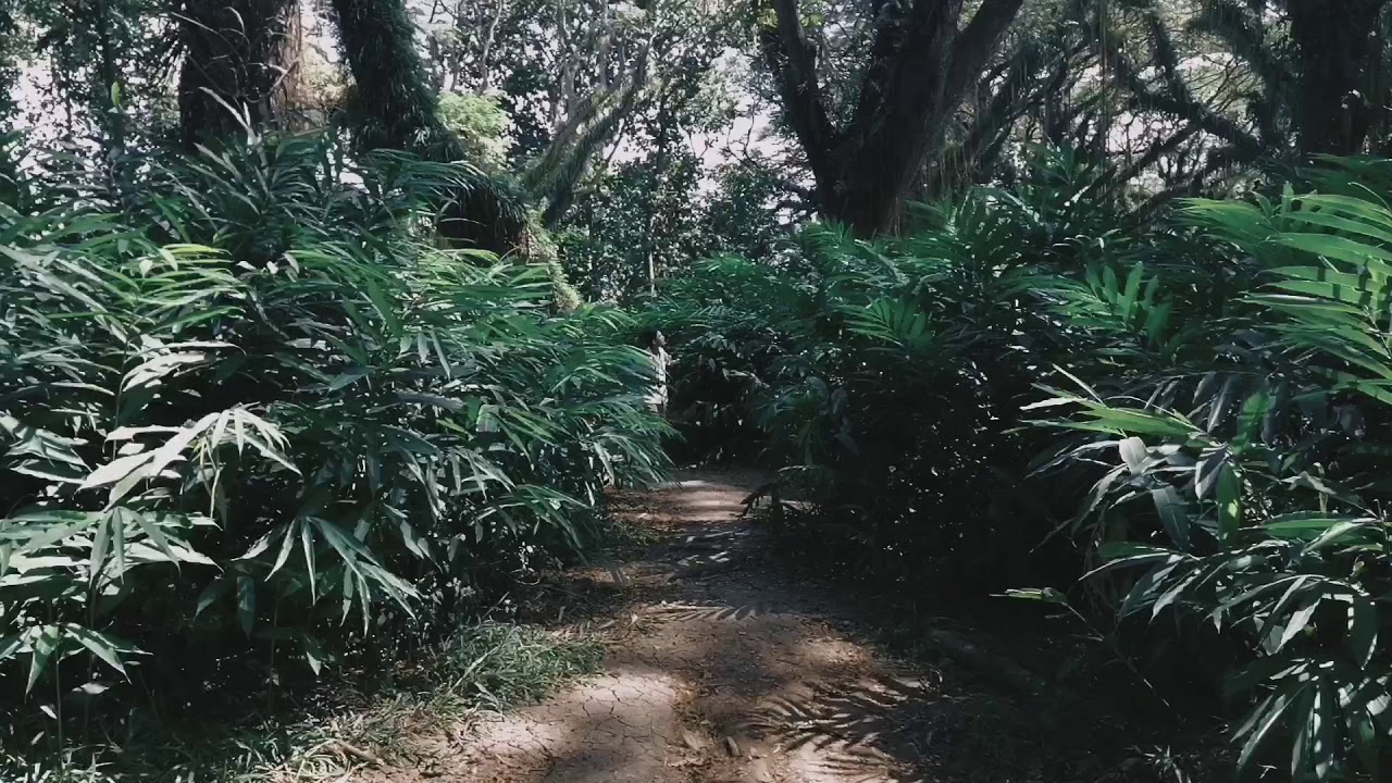 Huawei Nova 3i | Cinematic Video Test