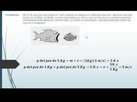 98 8 Un pez de 5 kg nada a 1 m s cuando se traga a un distraído pez de ...