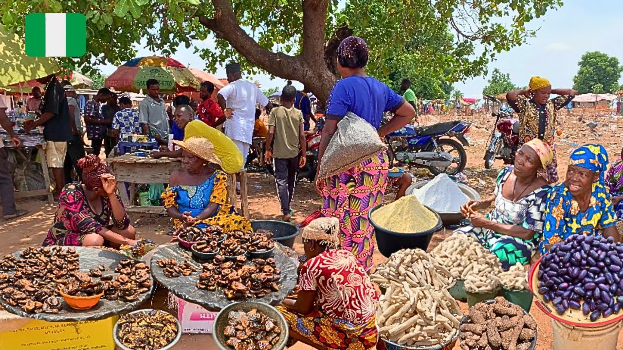 Rural African Village Market Day in Anguwan Nigeria 🇳🇬 West Africa ...