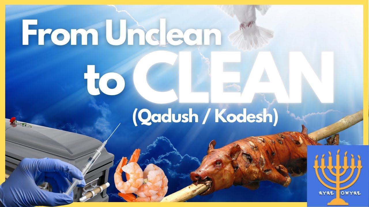 From UNCLEAN To CLEAN Defining These Words Look At What Is Unclean from-unclean-to-clean-defining-these-words-look-at-what-is-unclean