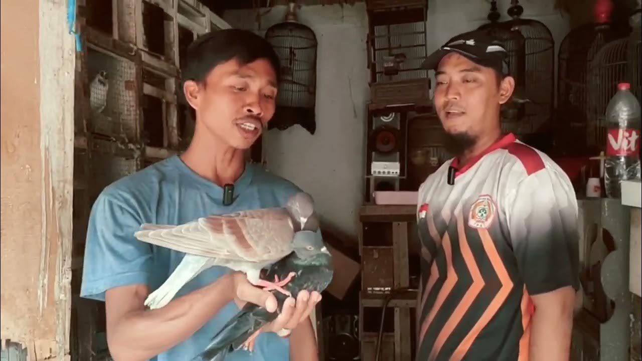 Kios Merpati Bang Jali Kebayoran Lama , Numbruk semua CC nya Brader . . - YouTube