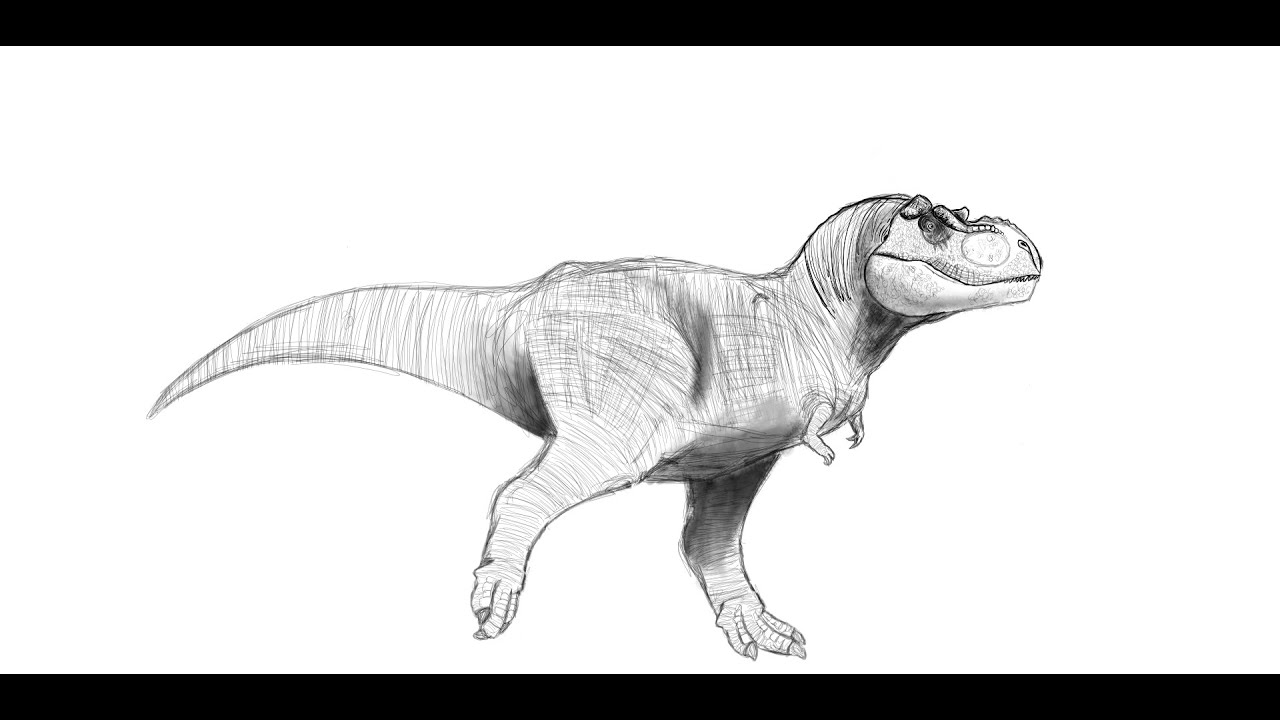drawing an accurate tyrannosaurus rex - YouTube