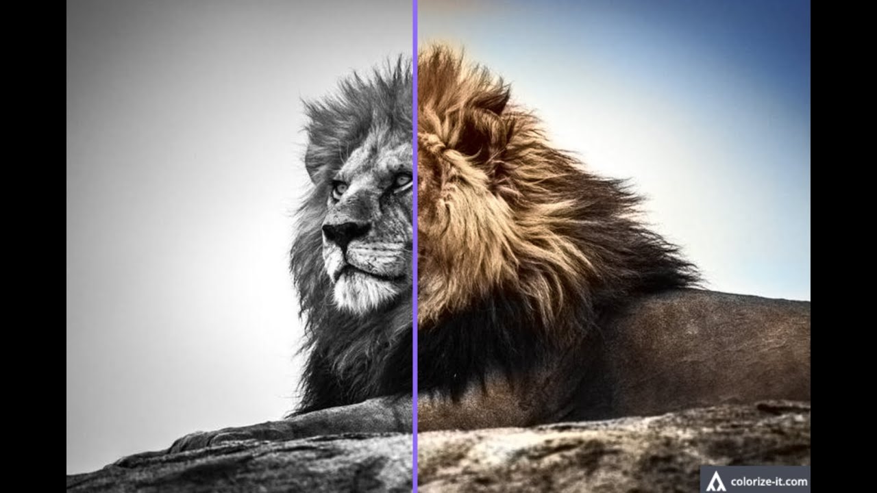 How to Convert Monochrome Photos to Color FREE! NO DOWNLOAD! | The Tech ...