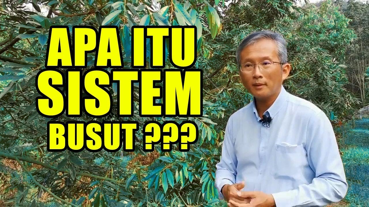 APA ITU SISTEM BUSUT?? - YouTube