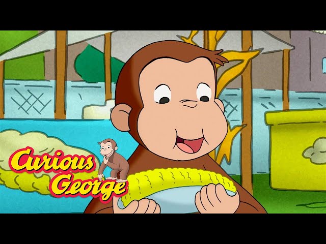 The Roasted Corn Celebration! 🐵 Full Episodes 🐵 Curious George 🐵 Kids ...