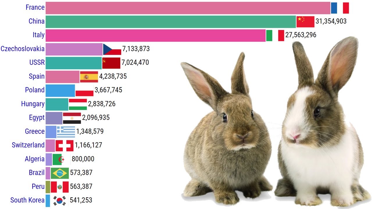 Data Is Beautiful - Top 15 Countries With The Highest Number of Rabbit ...