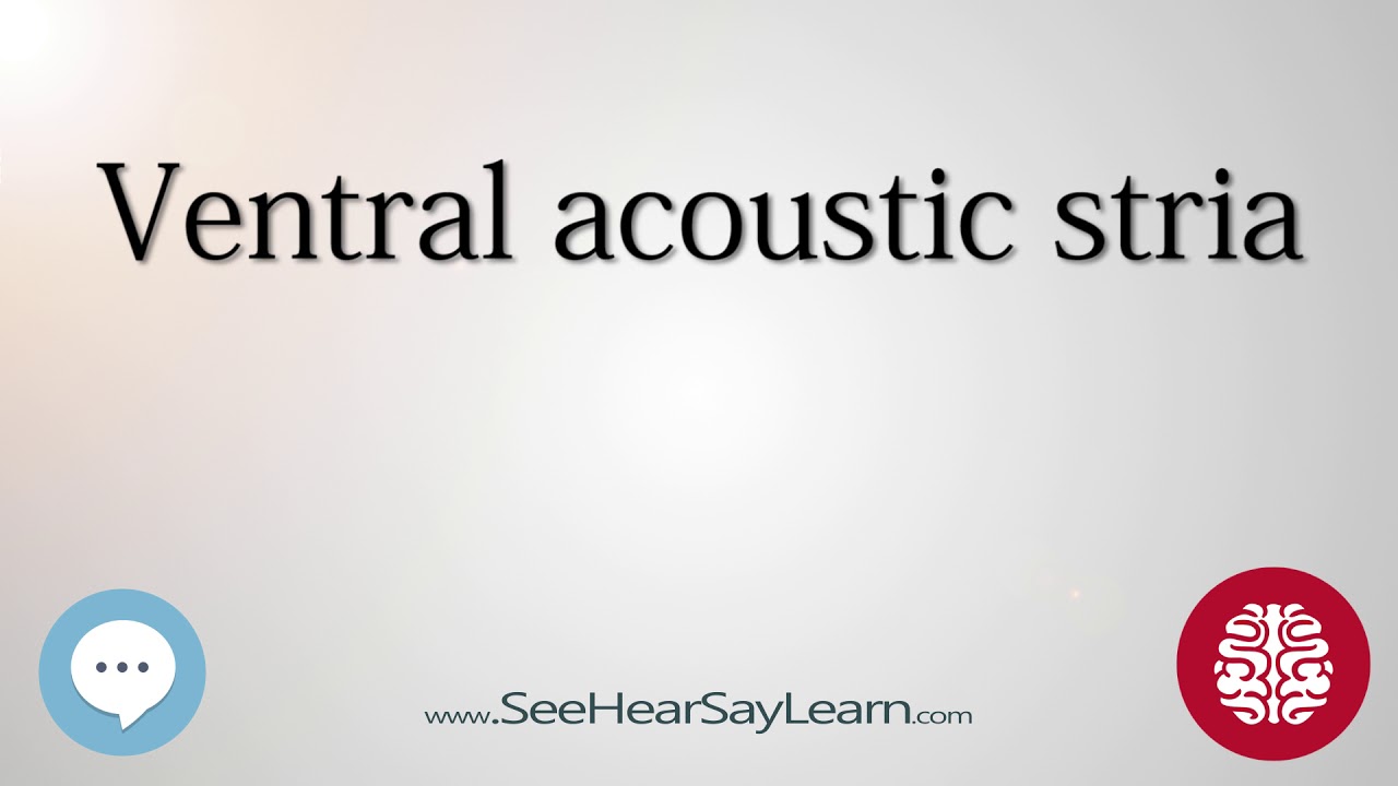 Ventral acoustic stria Anatomy of the Brain SeeHearSayLearn 🔊 - YouTube
