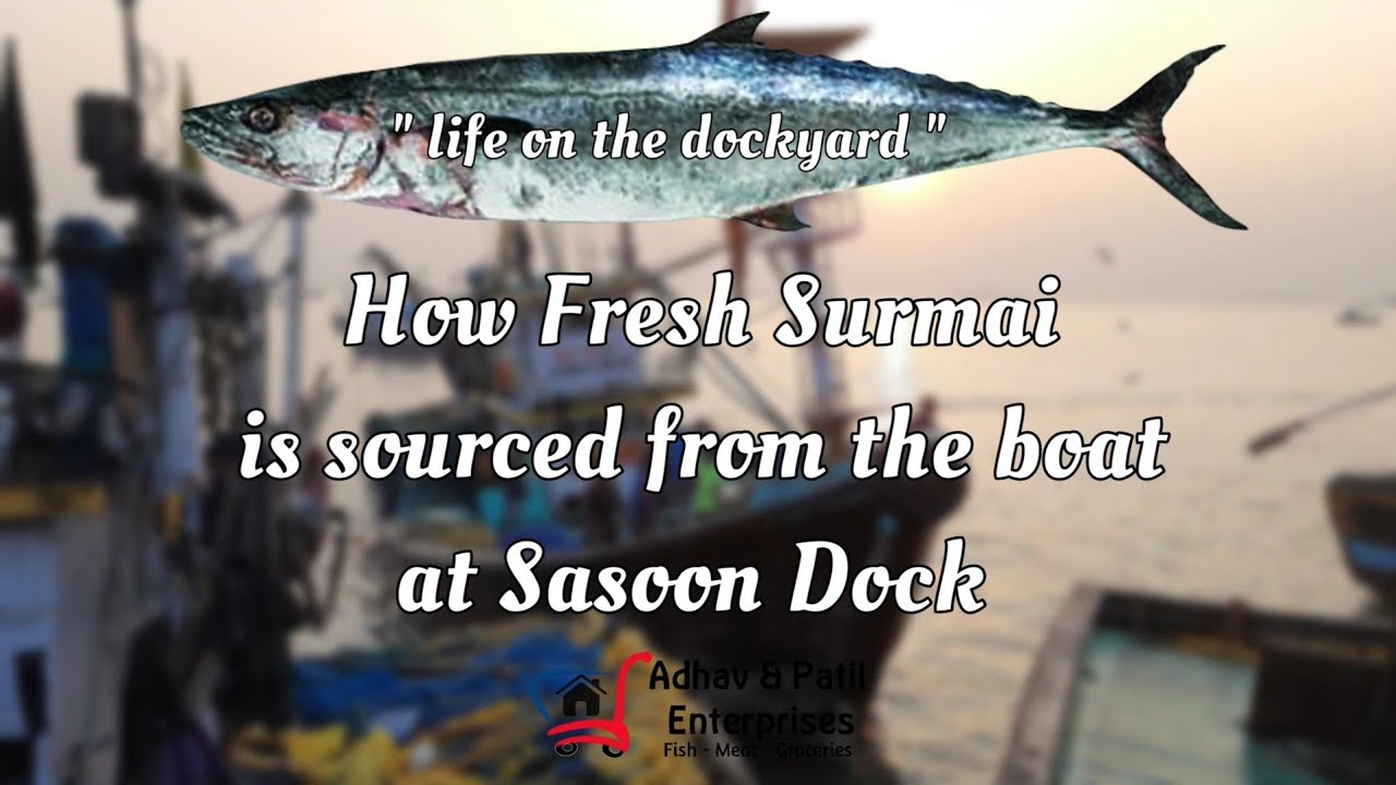 How surmai Fish is stored and taken out from the boat. - YouTube