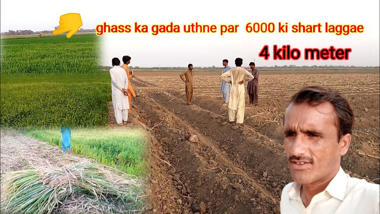 Ghass ka gada uthane ki shart laggai 6000 rupy ki 4 kilo miter taq ...
