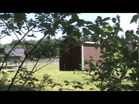 Vamp Camp: The Unbitten - YouTube