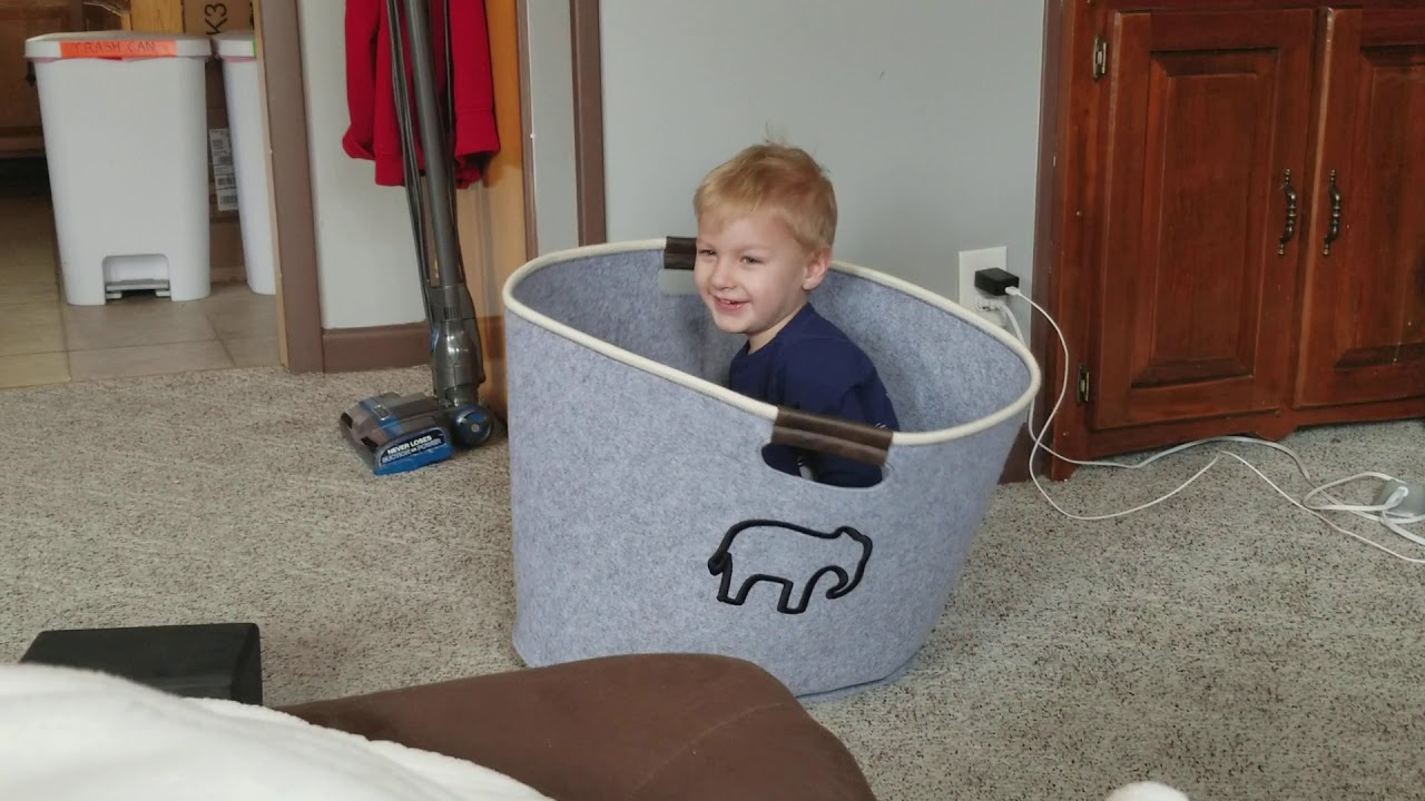 Finn hiding in my Large Felt Storage Tote - YouTube