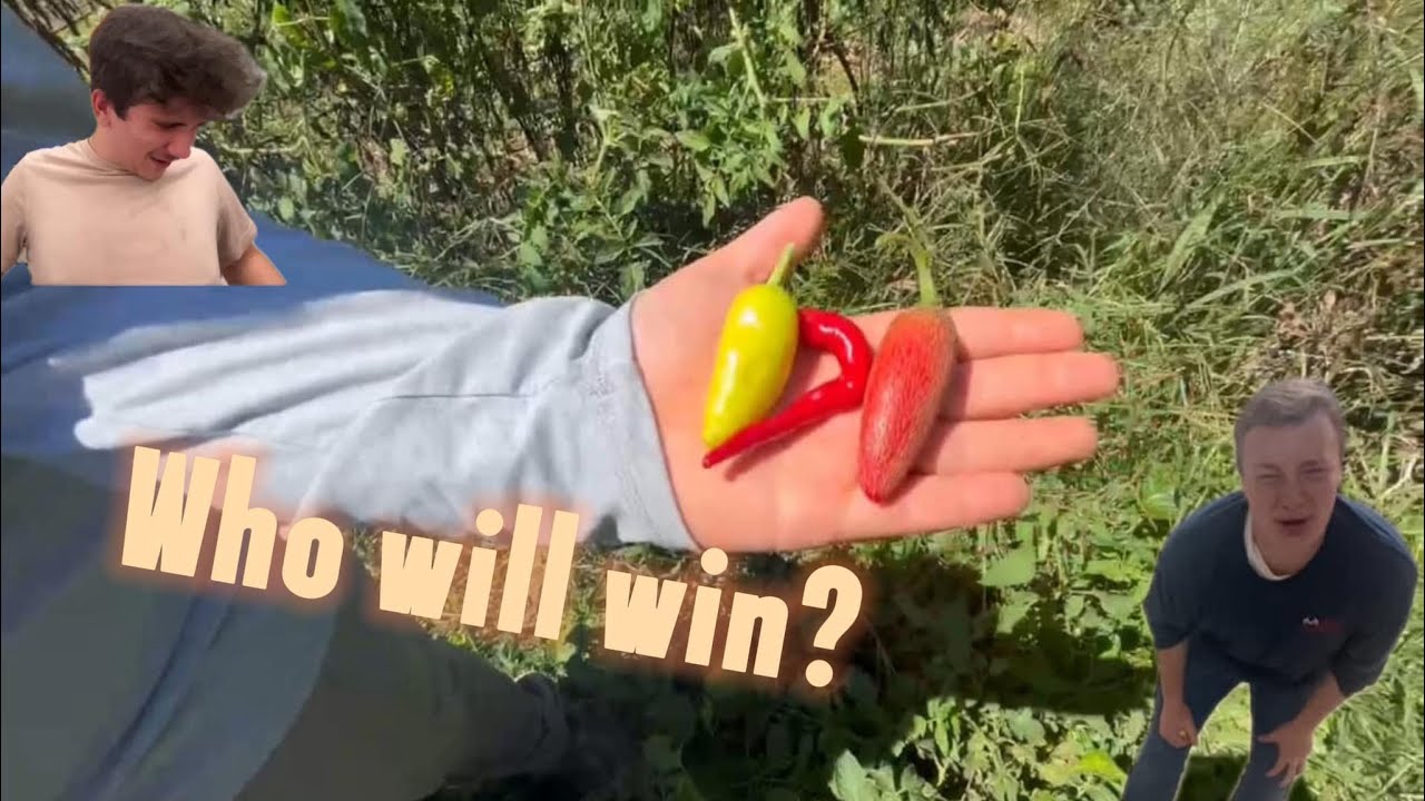 EXTREME HOT PEPPER CHALLENGE!! Who will win? - YouTube