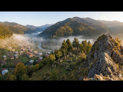 Geri Gel Ömrüm Yapamadıklarım Var[AI COVER ANATOLIA]