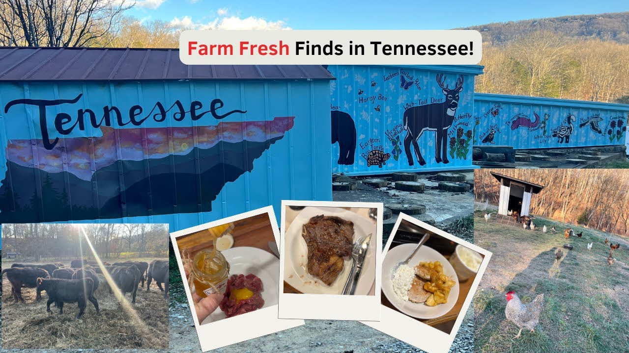 Farm Fresh Finds in Tennessee! - YouTube