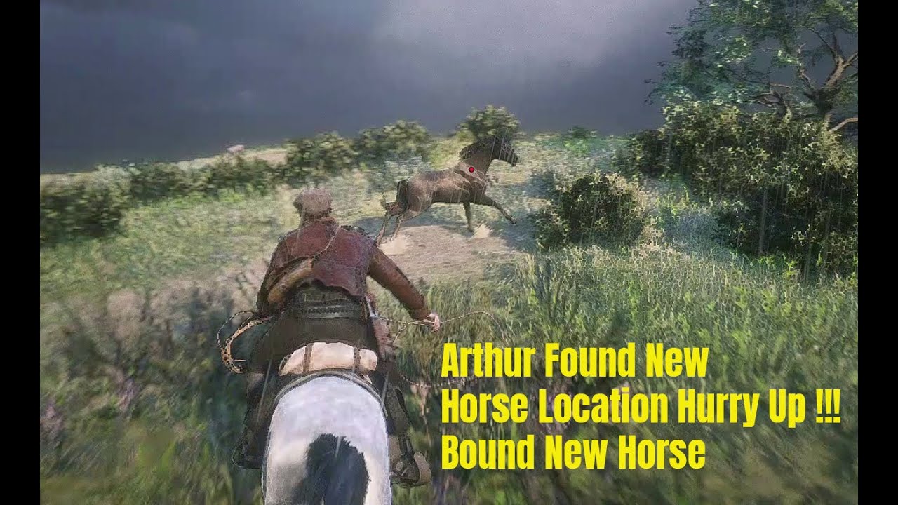 RDR 2 New Horse Liver chest - YouTube