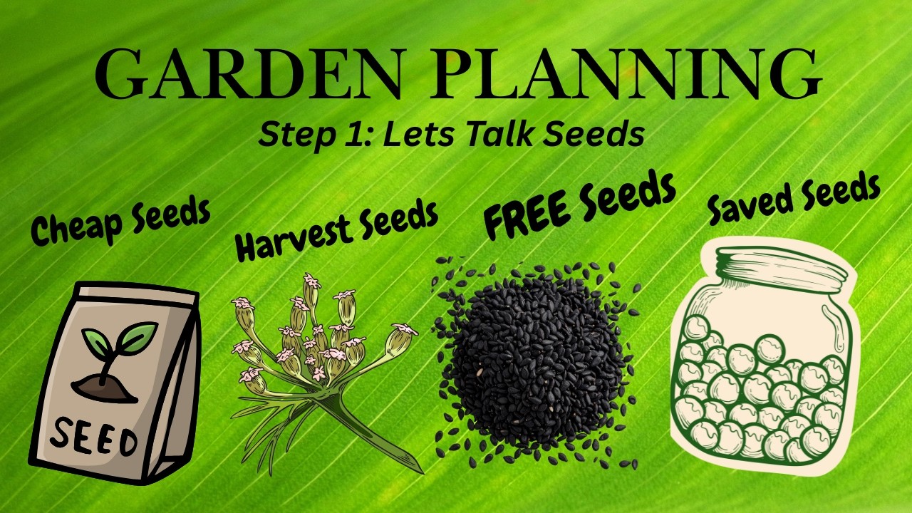 Massachusetts Garden Planning in January on a Budget. $tree Seed trip ...