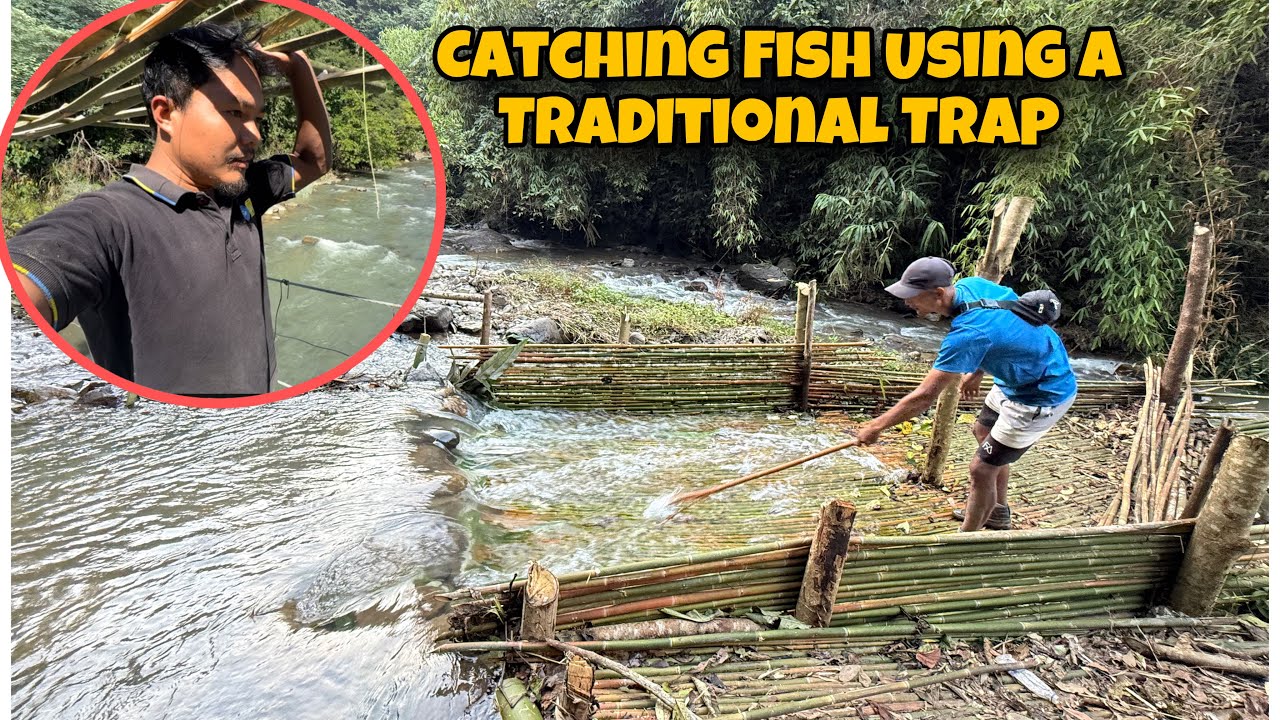 Handmade Fish Trap Simple but Effective - YouTube