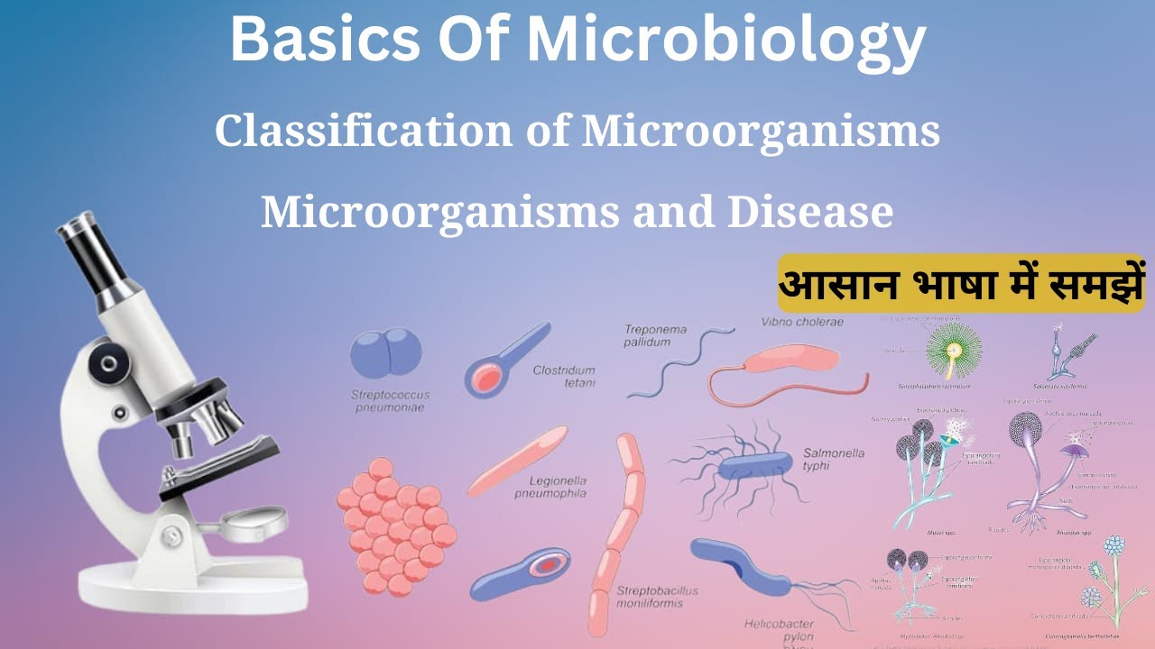 Basics of Microbiology: History, Classification, Structure, Metabolism ...