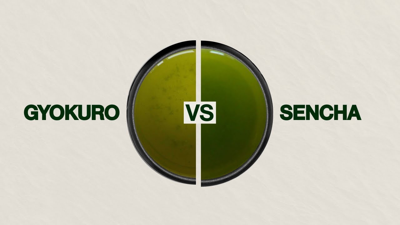 Sencha vs Gyokuro: Comparing the Gyokuro Cha Musume with the Henta ...