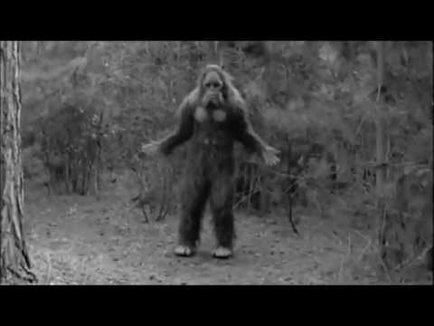 Bigfoot Dance - YouTube