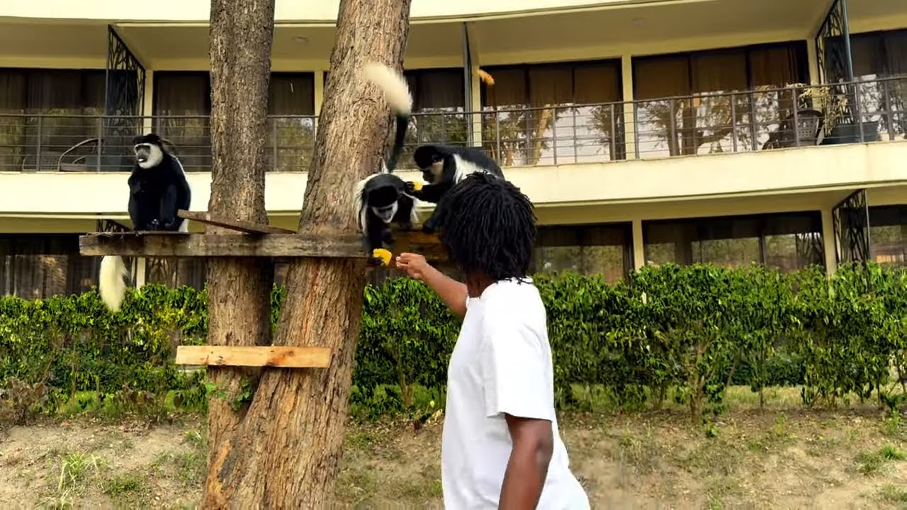 NINJARACY E.T. - BEBERU TALK (OFFICIAL VIDEO) - YouTube