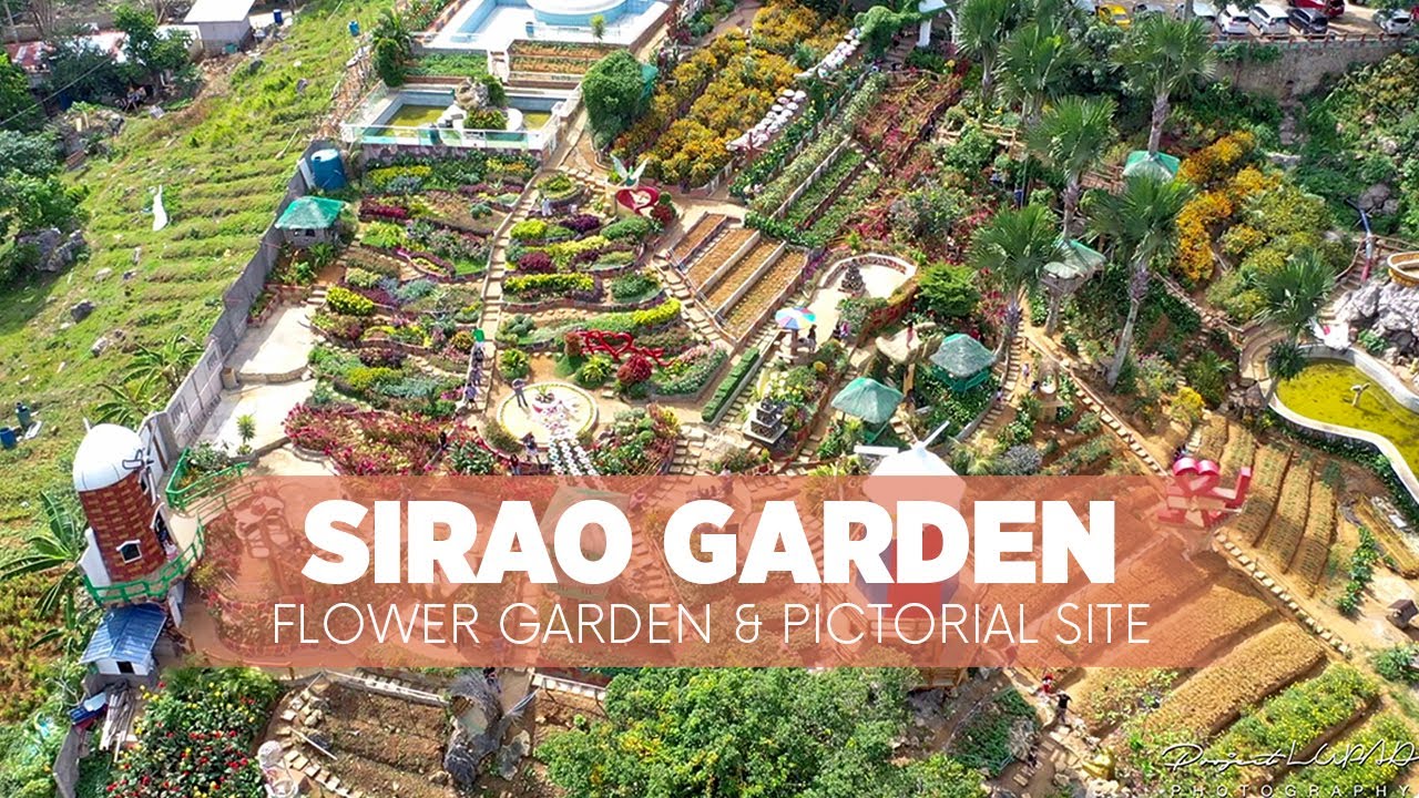 Cebu Sirao Pictorial Garden - Philippines | Cebu Tourism | Sirao Flower ...