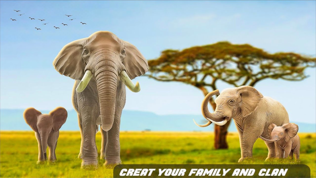 Savanna Simulator: Wild Animal Games, Elephant’s Story - YouTube