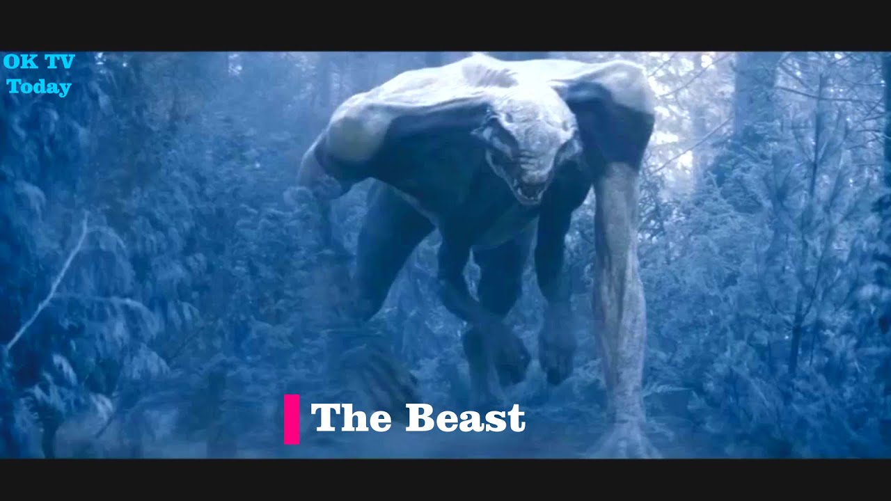 Aang, Sokka & Katara Chased By The Beast Hei Bai - Avatar The Last ...