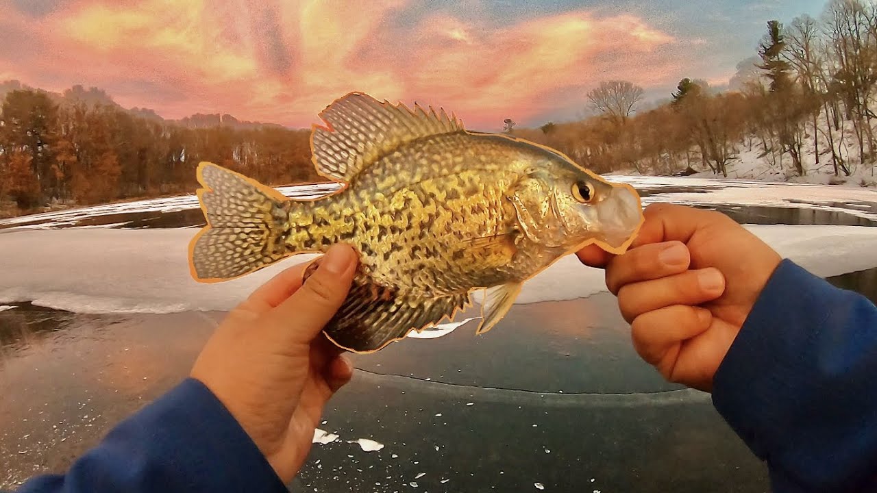 Early Ice Crappies and Gills - YouTube