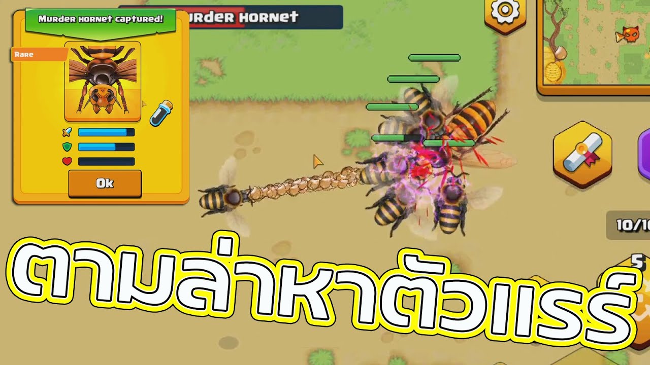 Pocket Bees : ตามล่าหาตัวระดับเเรร์ EP9 - YouTube