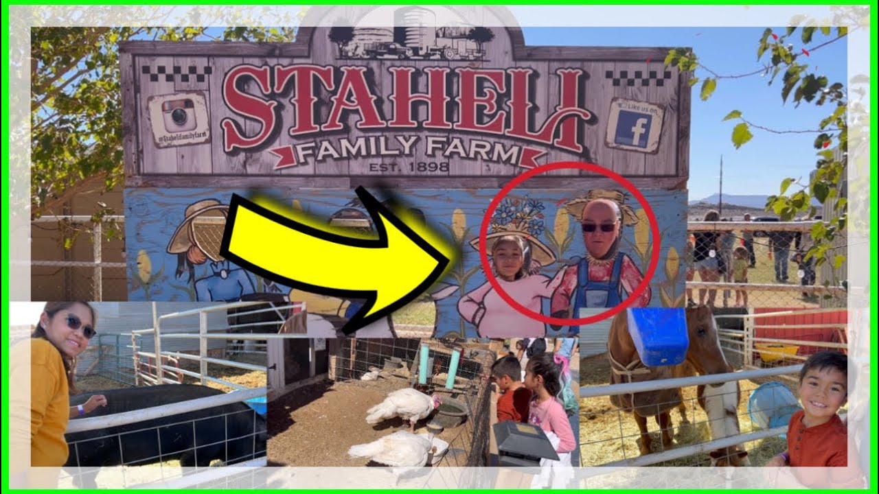 OUR ADVENTURES AT STAHELI FARM 2021 PART 1 - YouTube
