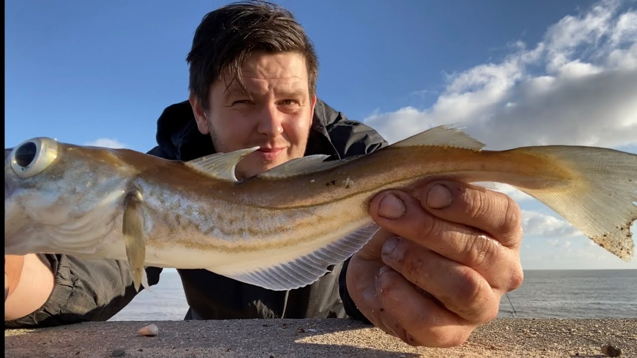 North Sea Angling, a typical January session in Felixstowe - YouTube