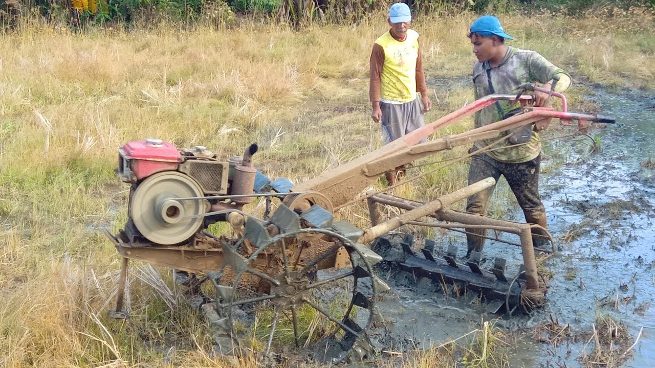traktor nyoba garu glebeg - YouTube