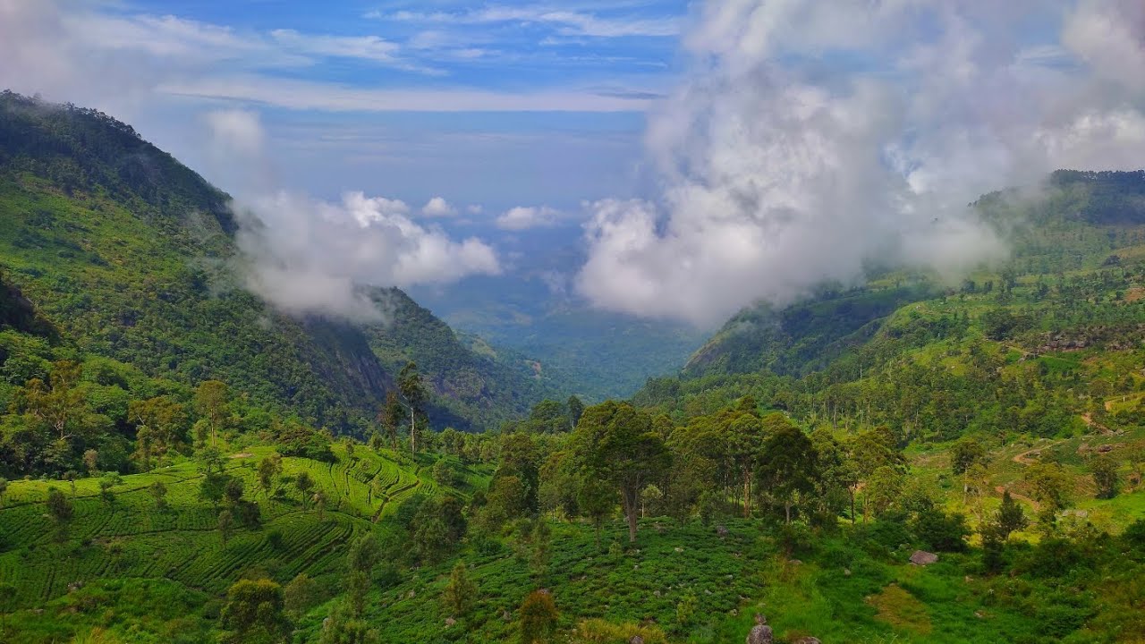 Exploring the Enchanting Beauty of Haputale and Bandarawela Rainy Day Adventur | Beautiful Sri ...