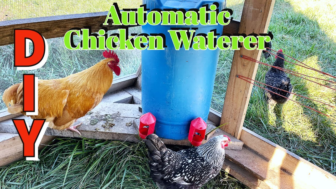 Build your own DIY Automatic Chicken Water #diy #farmlife #chicken # ...