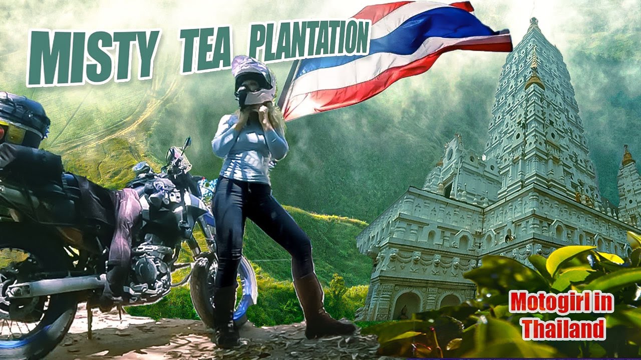 Thailand | Misty Tea Plantation, Mae Taeng - 🇹🇭 (4k) - YouTube