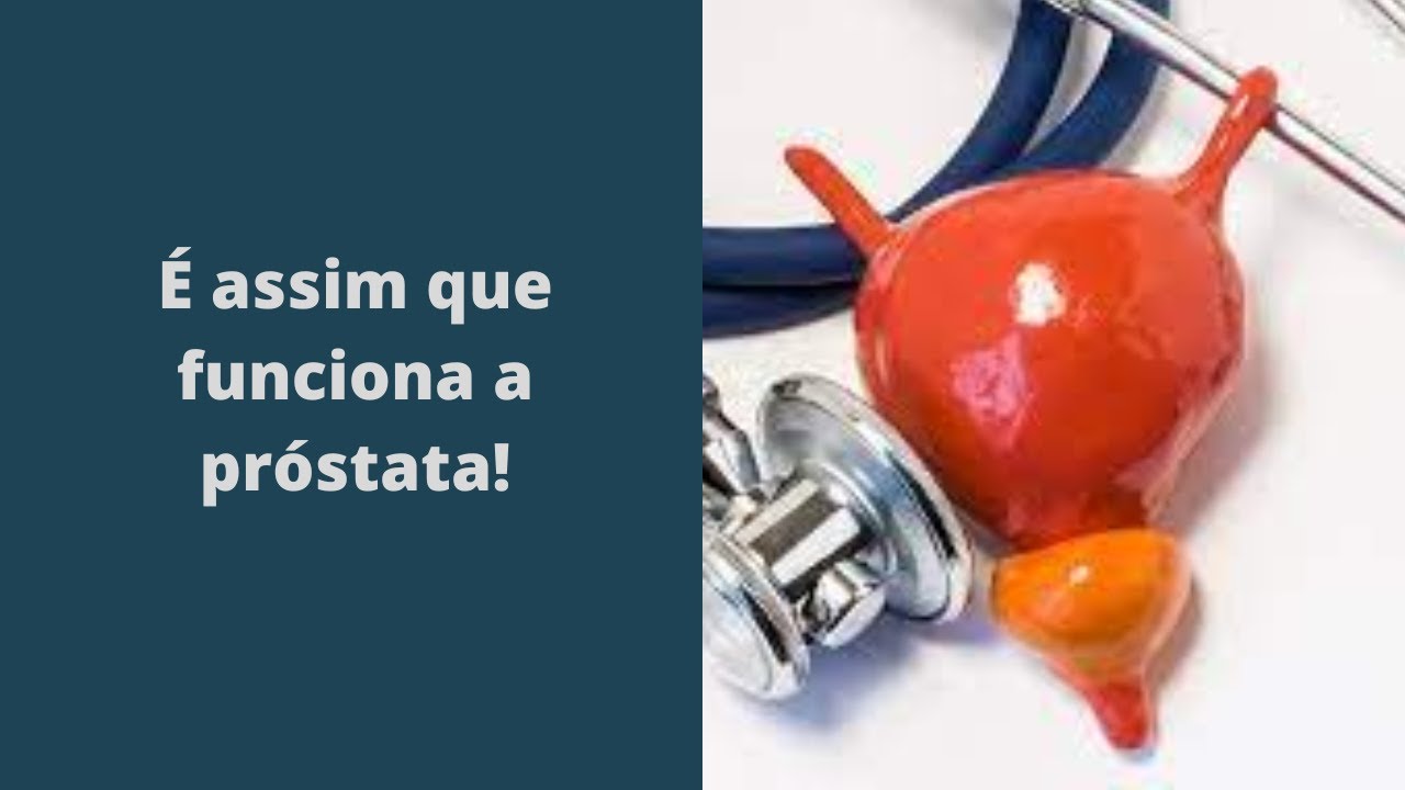 Fisiologia e Anatomia da Próstata - YouTube